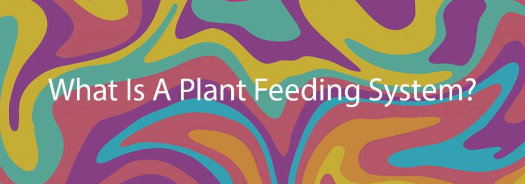 Plant Feeding Systems: Everything You Need To Know - MegaPot