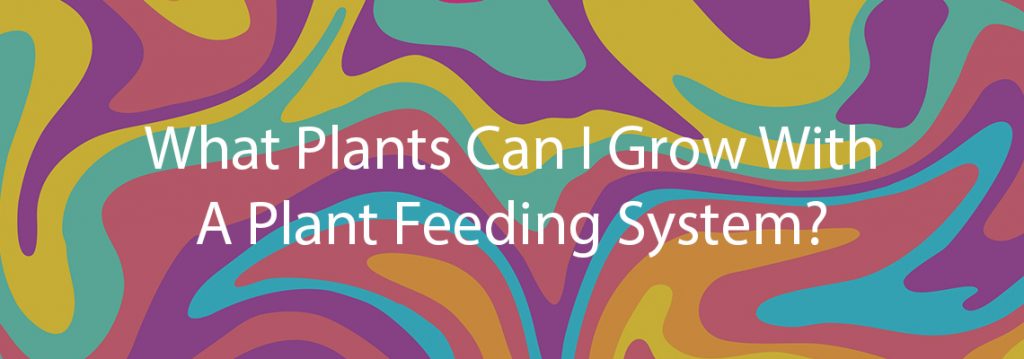 Plant Feeding Systems: Everything You Need To Know - MegaPot